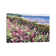 ClassicLiving Springtime Dream - Wrapped Canvas Painting | Wayfair.co.uk