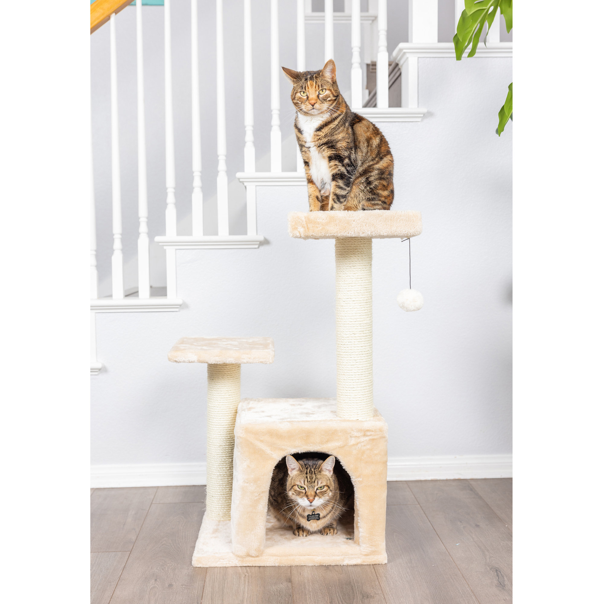 Armarkat 32" Classic Real Wood Cat Tree | Wayfair