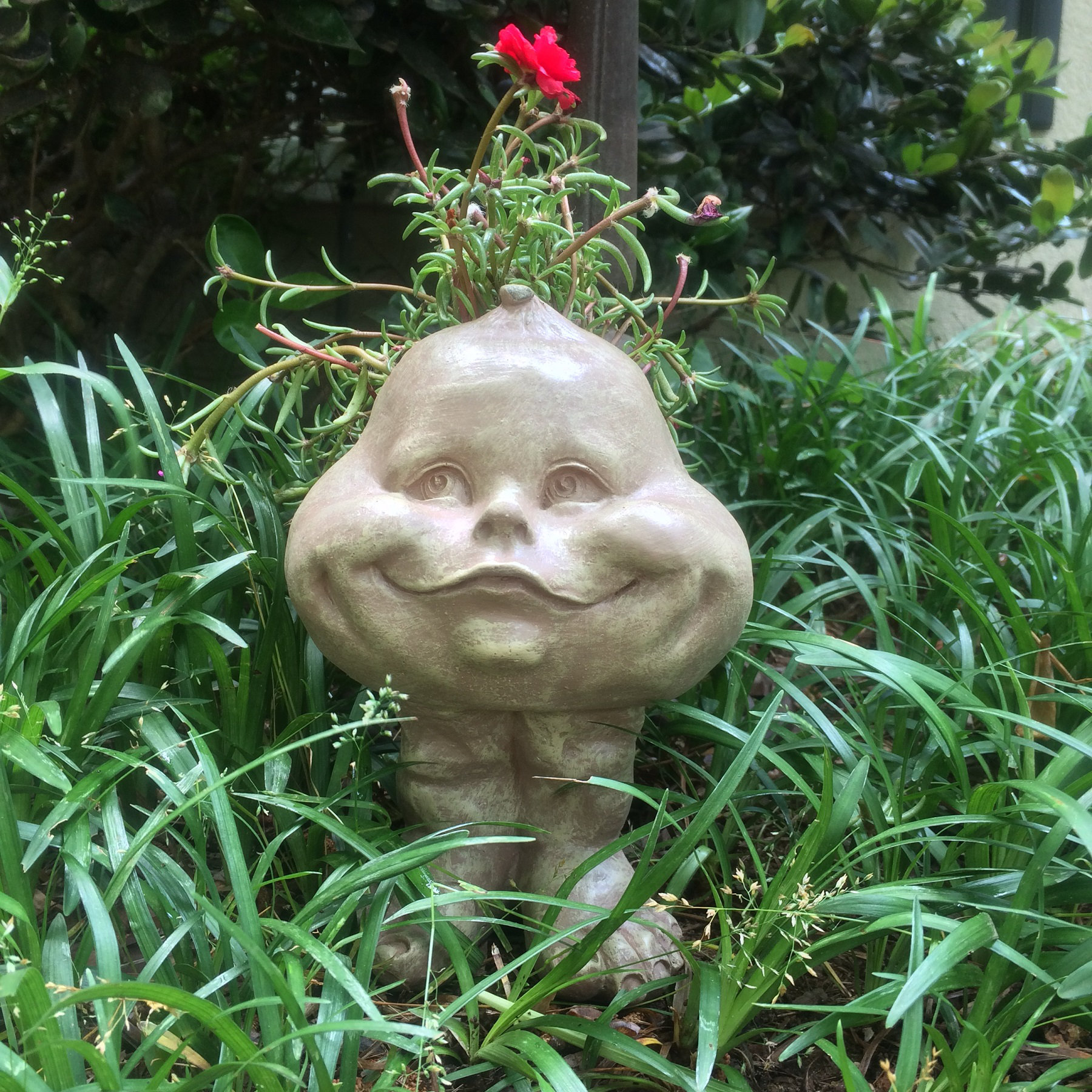 HomeStyles Muggly's Lil Baby Face Statue Planter - Wayfair Canada