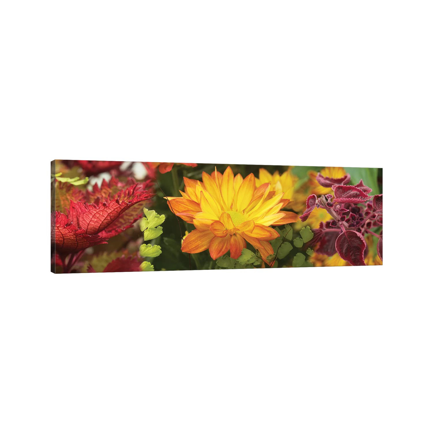 Ebern Designs Close-Up Of Fall Flowers - Wrapped Canvas Panoramic ...