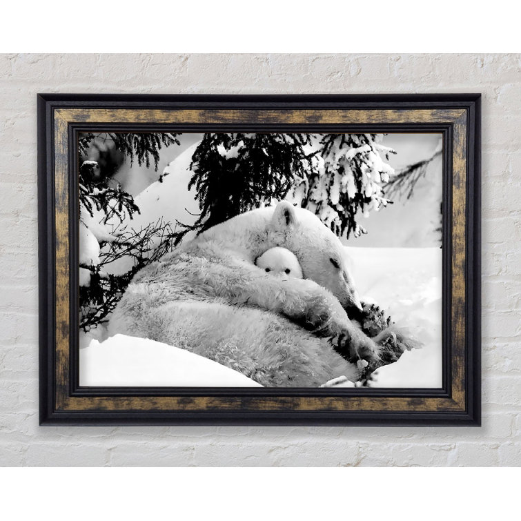 Bright Star Polar Bear Hug - Single Picture Frame Art Prints | Wayfair ...