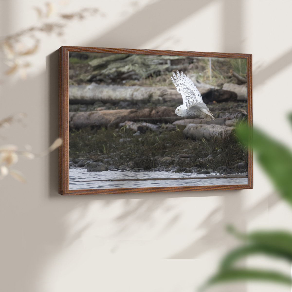 Ebern Designs Solo Flight -Framed Print - Restickable | Wayfair