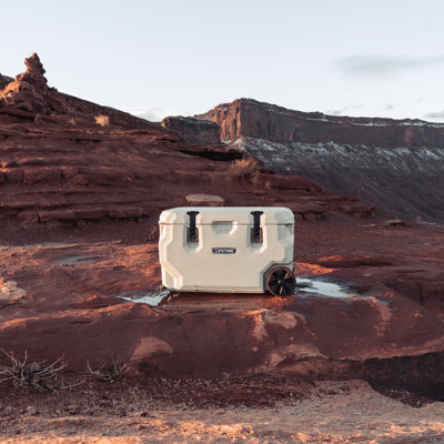 Lifetime 65 Quarts Wheeled Ice Chest Cooler , Pumice Stone/Black ...