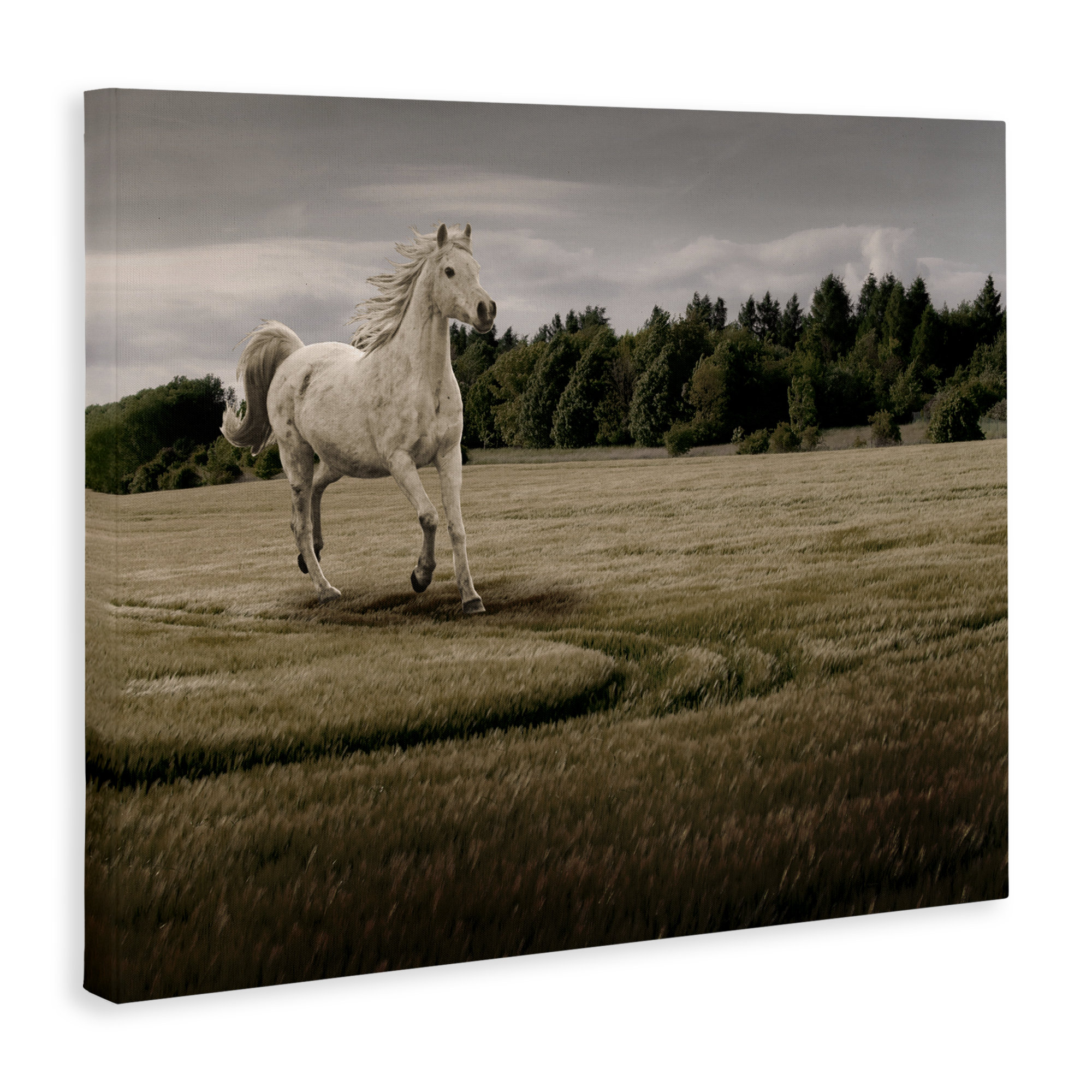 Ophelia & Co. Galloping Through Field Horse Canvas, design by Marcus ...