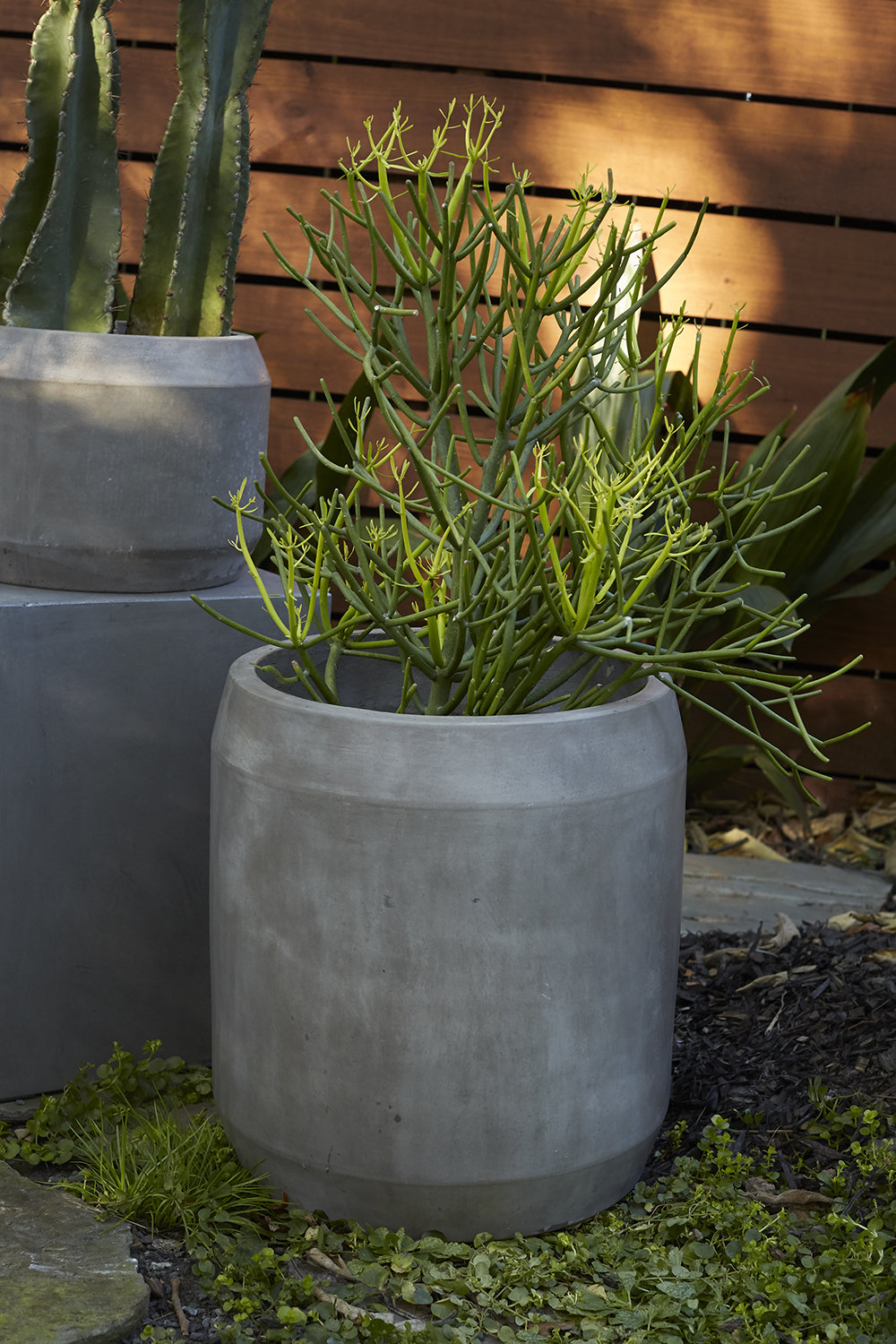 Trent Austin Design® Pledger Pot Planter | Wayfair