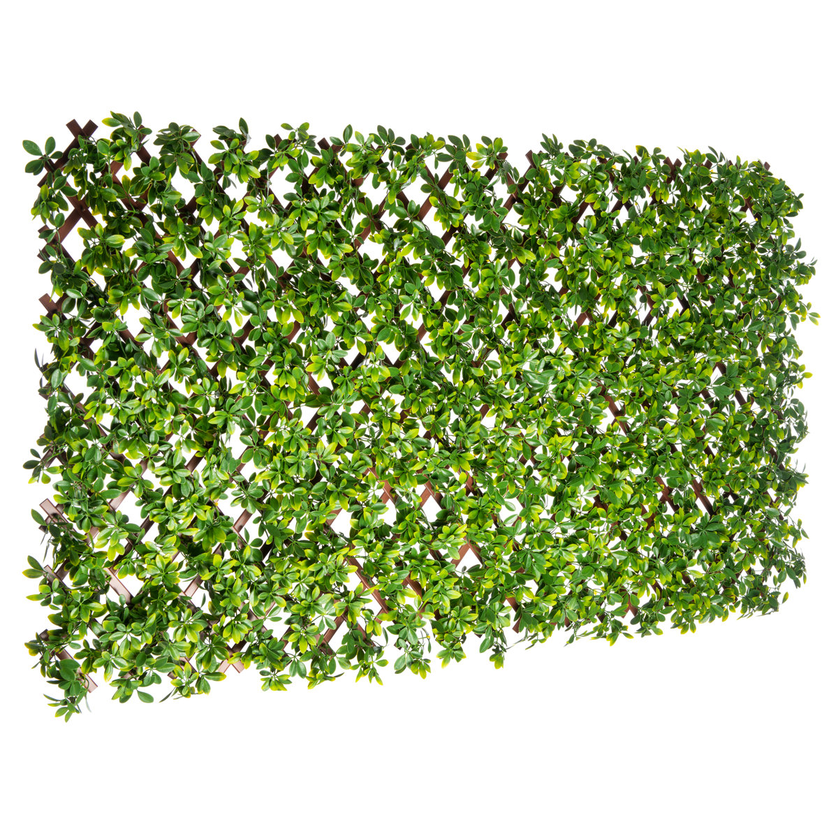 Naturae Decor 0.3 ft. H x 4 ft. W Polyethylene Privacy Screen & Reviews ...