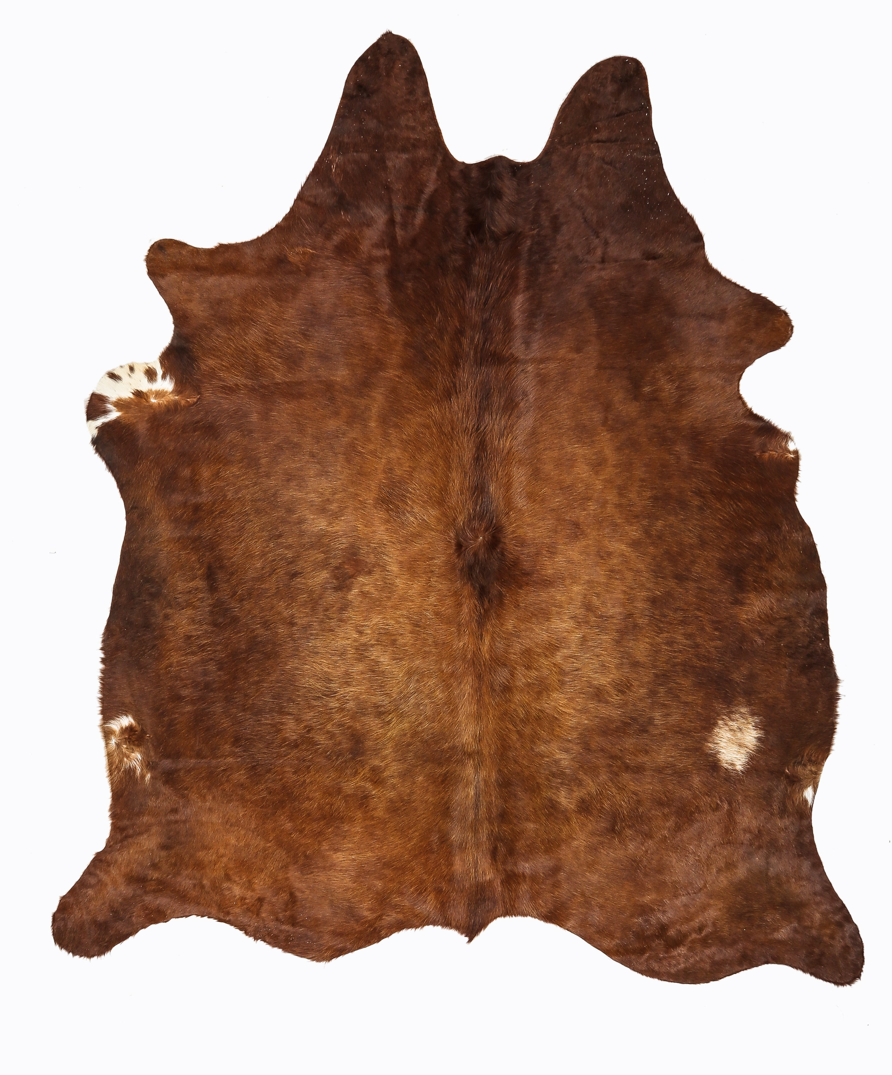 Union Rustic Myrtletown 2 X 1.75 Area Rug | Wayfair.co.uk