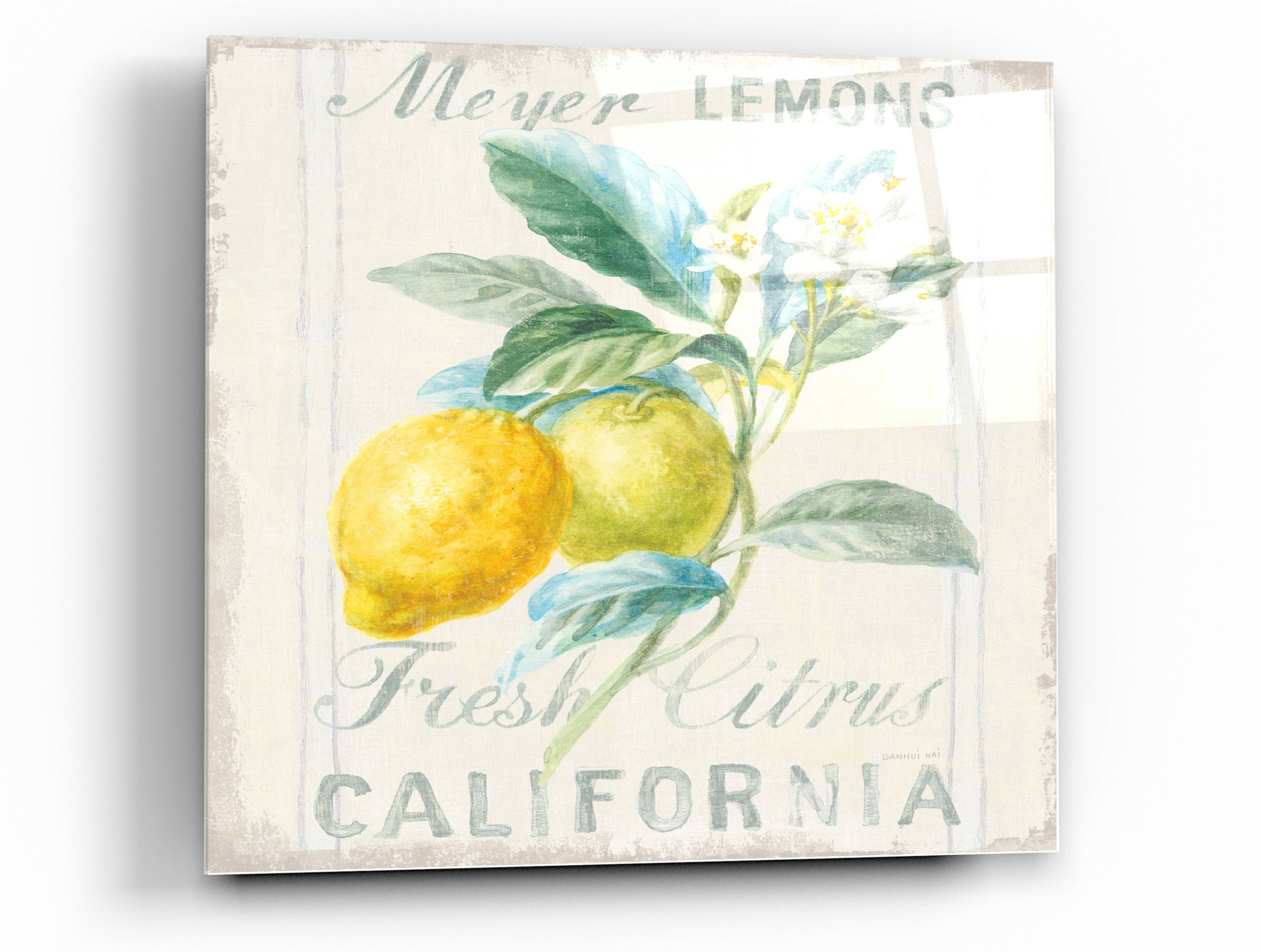 Trinx 'Floursack Lemon II' By Danhui Nai, Acrylic Glass Wall Art, 36 ...