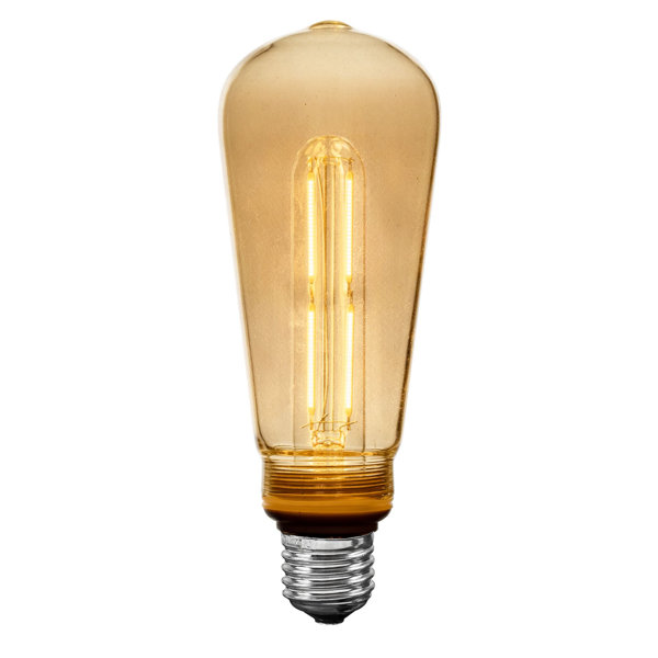 Novelty Lights Festive Living Velora Tint Edison ST19 + T25 LED ...