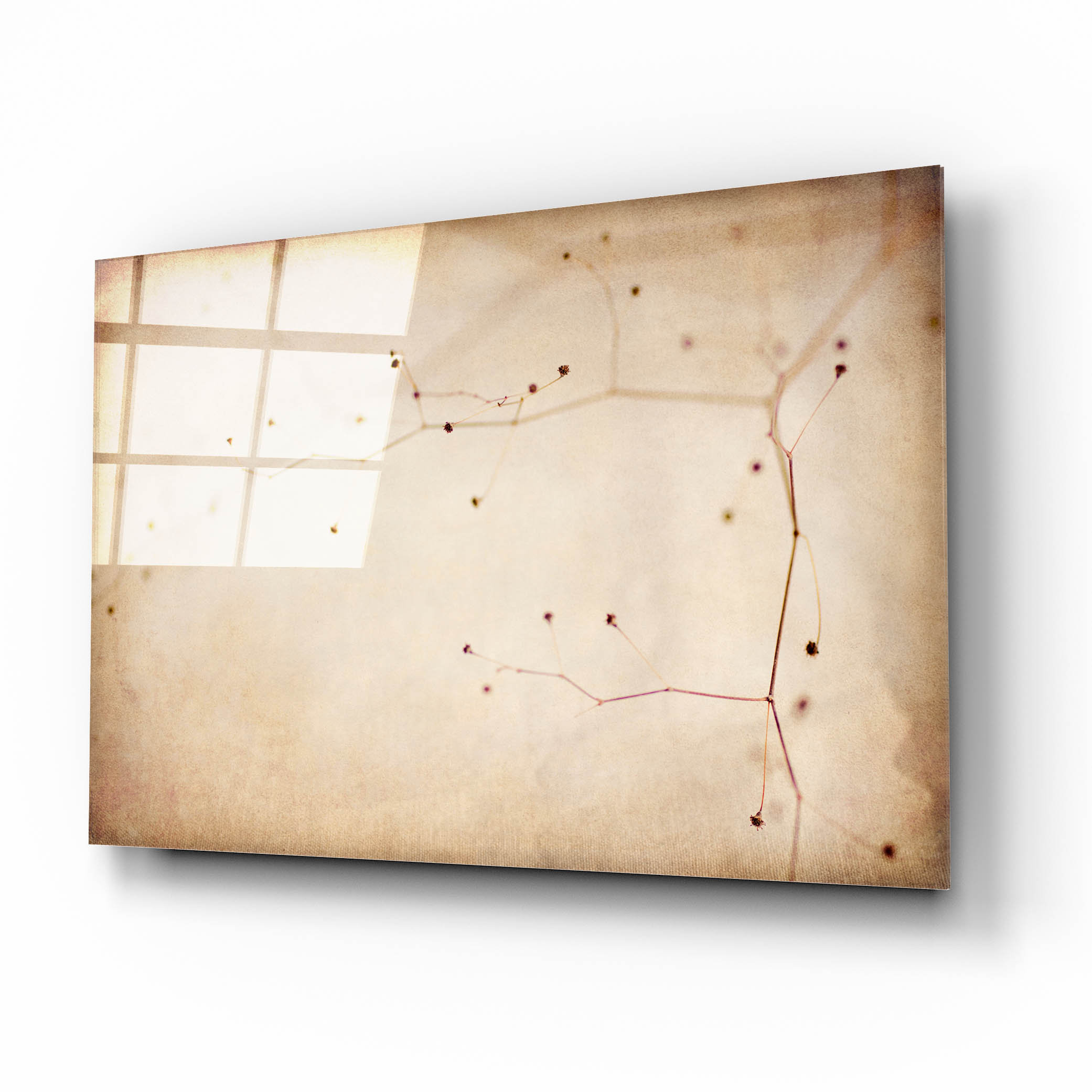 Latitude Run® 'Desert Afterlife 1B' By Jessica Rogers On Plastic ...