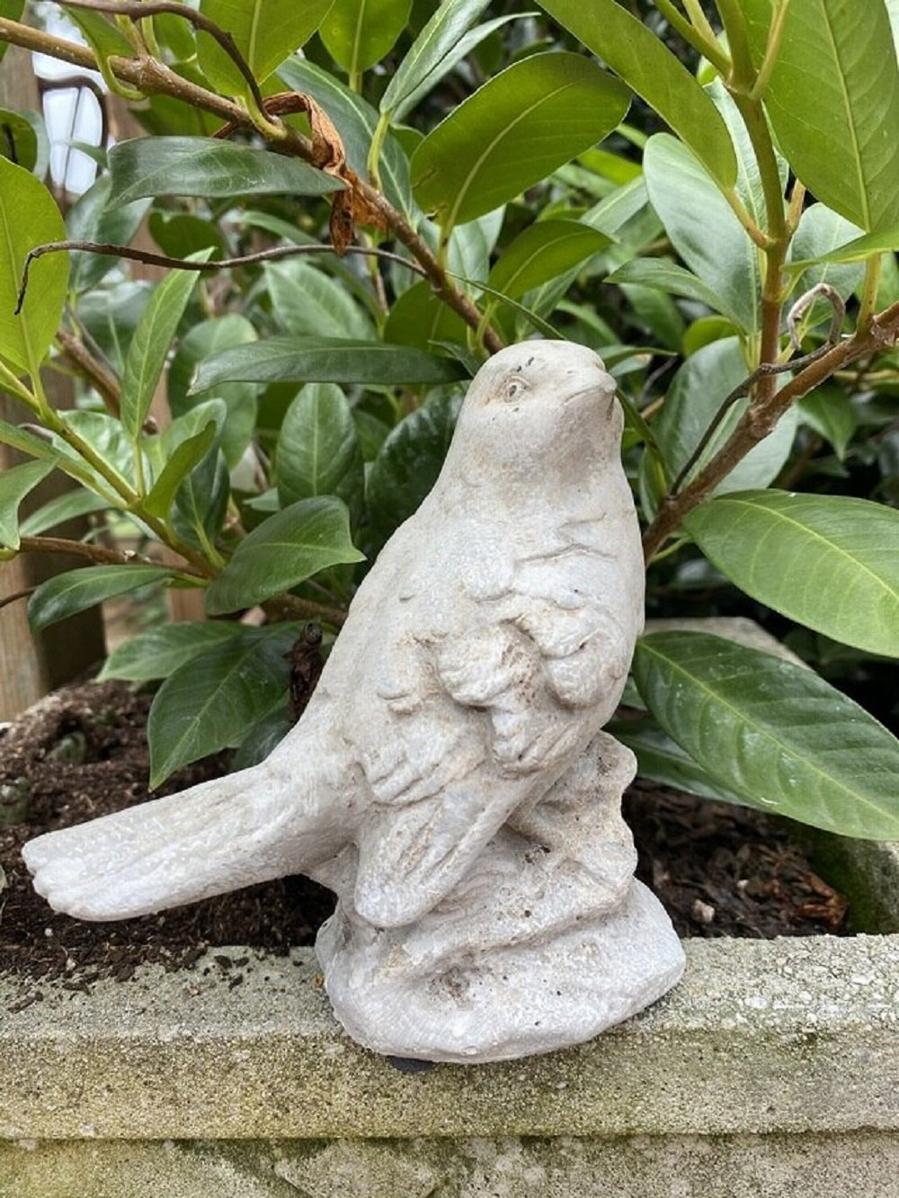 Rosalind Wheeler Rayan Birds Concrete Garden Statue | Wayfair