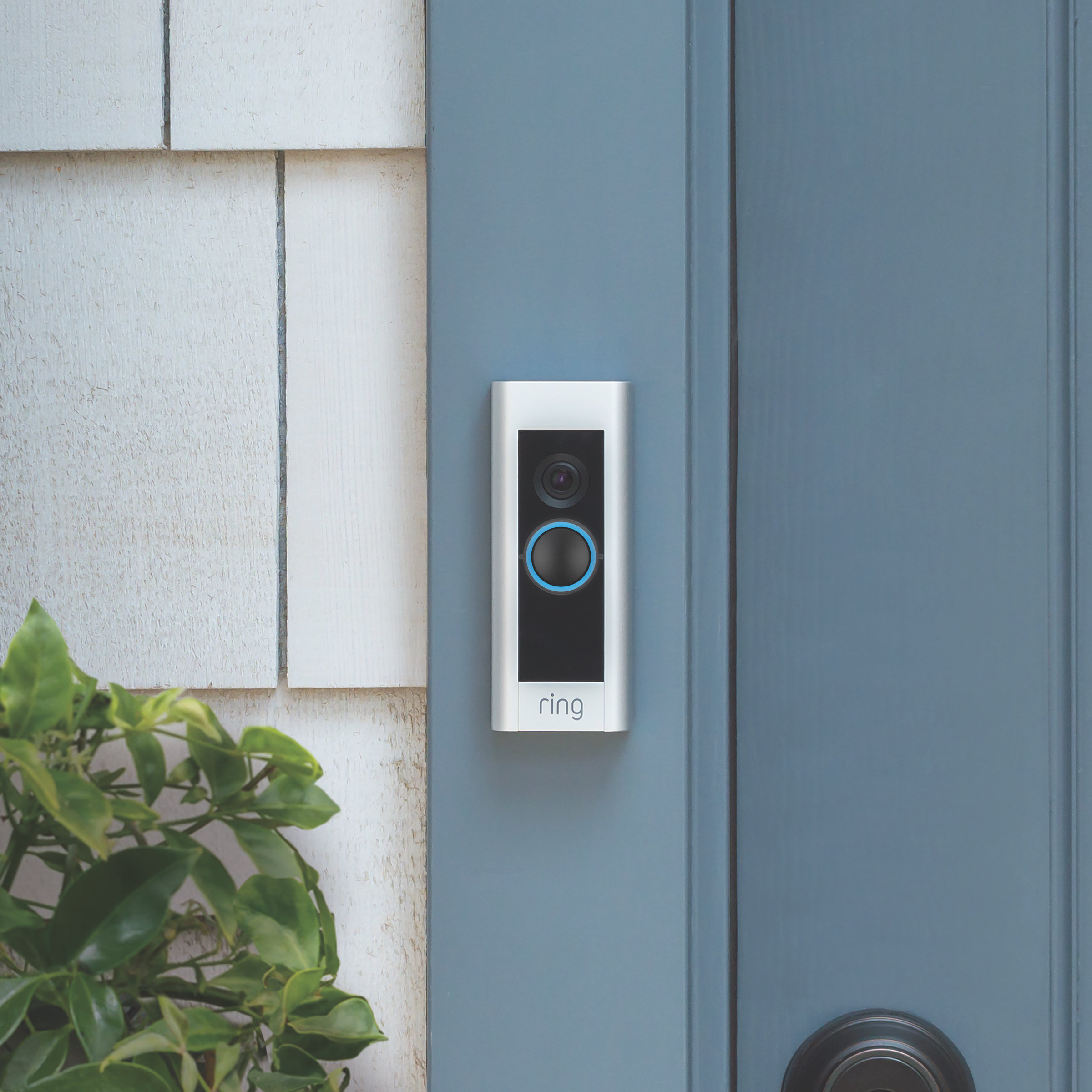 Ring Satin Nickel Push Button Doorbell & Reviews | Wayfair
