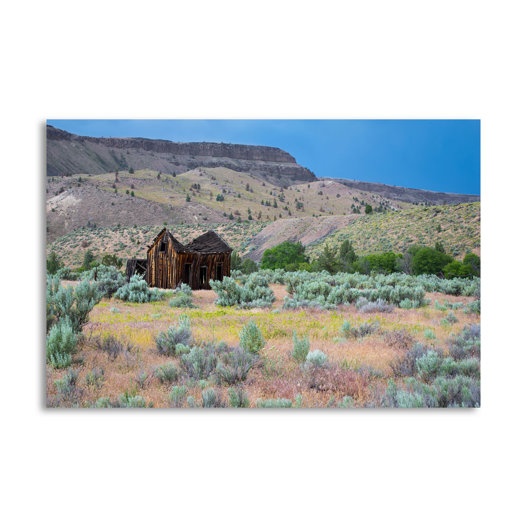 Union Rustic 'Burned Farmhouse' Photographic Print - Wayfair Canada