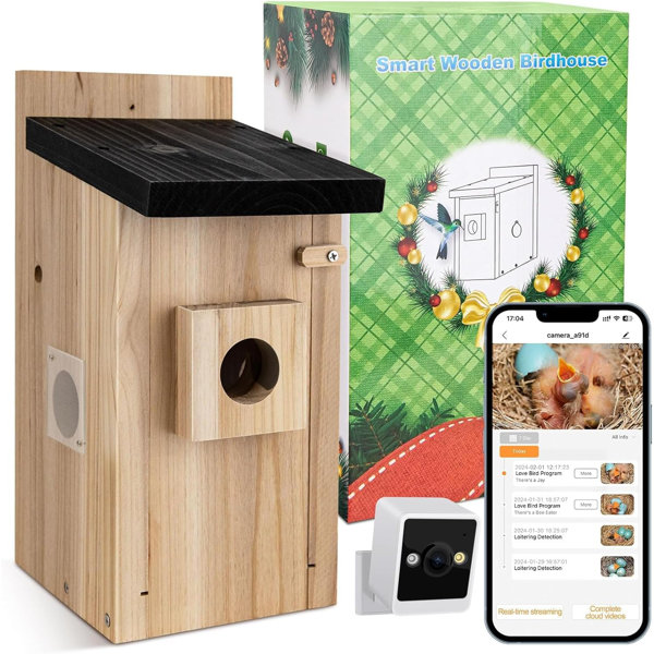 Gracie Oaks Smart Bird House & Feeder With 1080P HD Camera, AI Bird ...