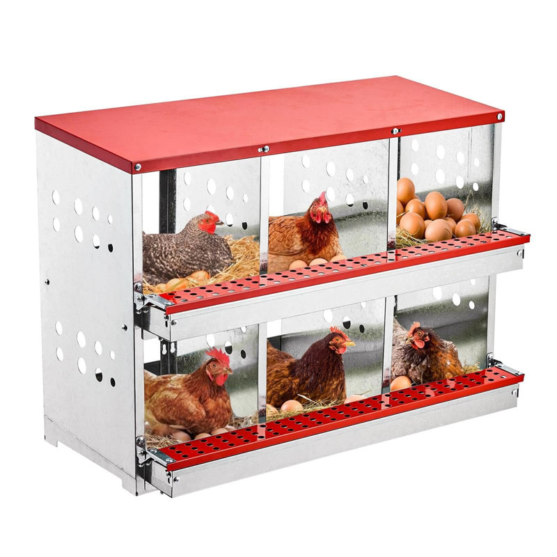 Archie & Oscar™ Stainless Steel Nesting Boxes For Chickens, 6 ...