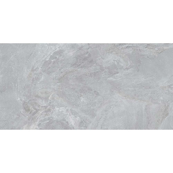 Apollo Tile Splendor 23.7'' W x 47.25'' L Porcelain Singular Tile | Wayfair