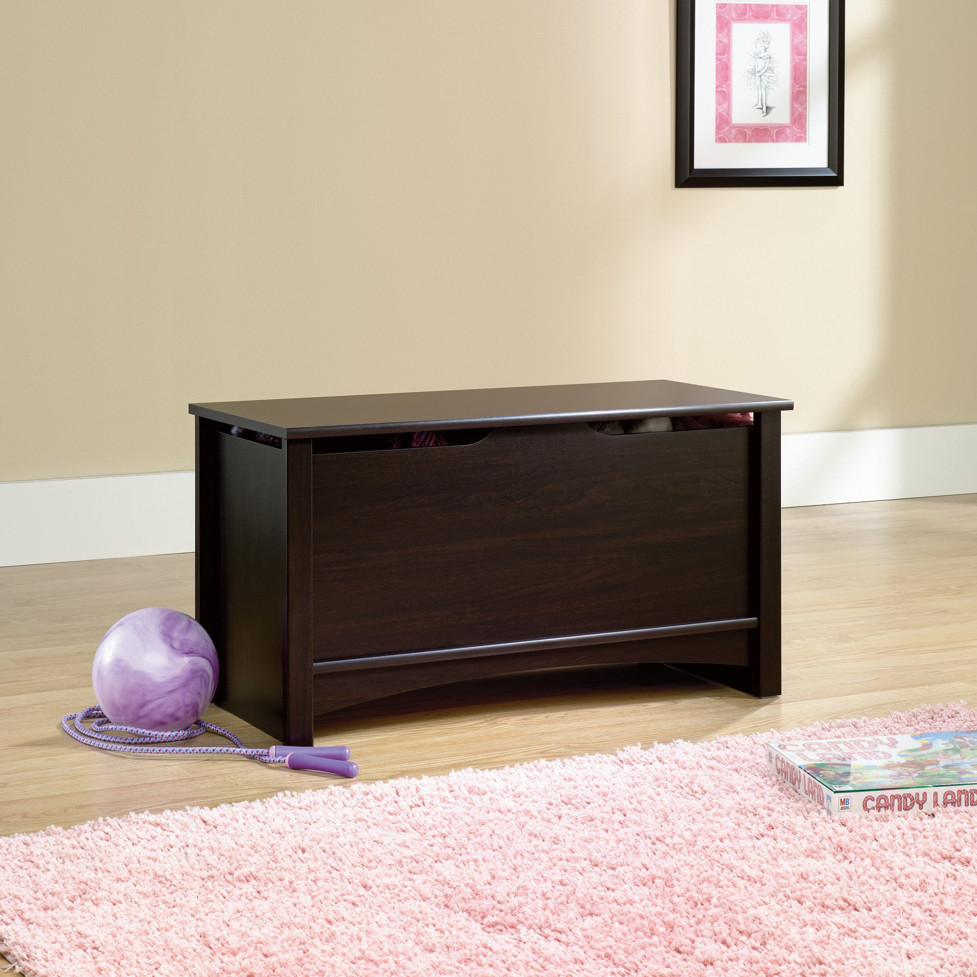 Red Barrel Studio® Storage Trunk | Wayfair