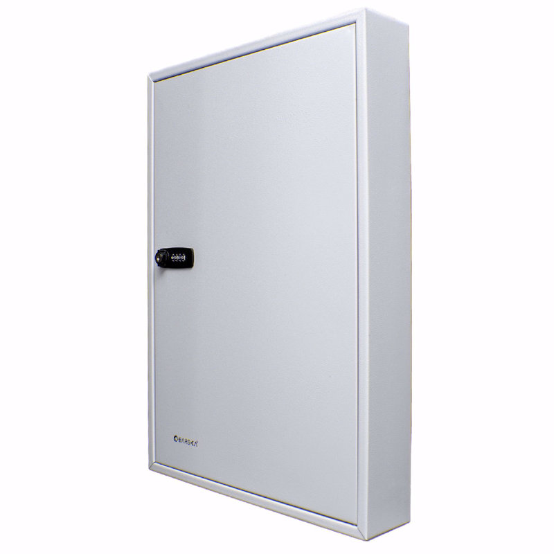 Barska 100 KEYS ADJUSTABLE WITH COMBINATION LOCK GREY | Wayfair