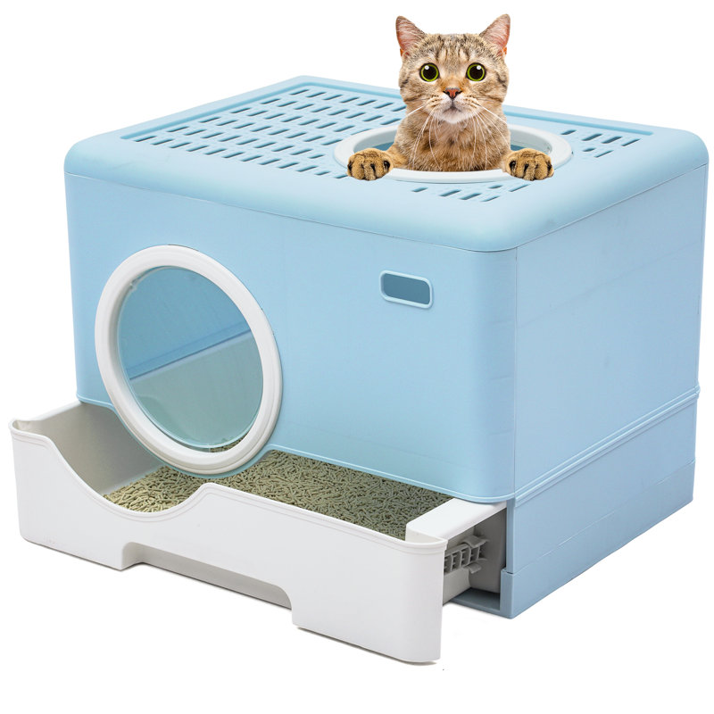 Archie & Oscar™ Denholme Standard Plastic Cat Litter Box with Scoop ...