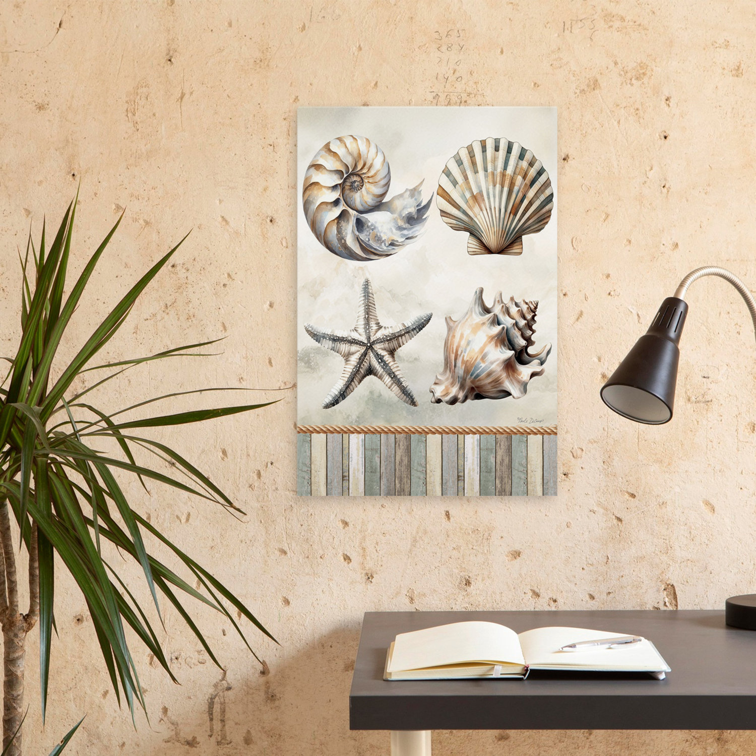 Dovecove Cape Cod Shores Seashells - Coastal Coastal Shells Seashells ...