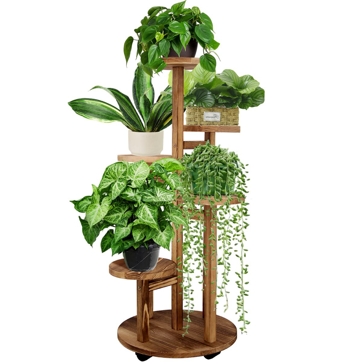 George Oliver 5 Tiers High Plant Stand For Indoor Use, Wooden Plant ...