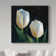 Trademark Art Hall Groat Ii " White Tulips Black " by Hall Groat Ii ...