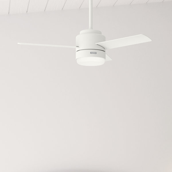 Hunter Fan 44" Gilmour 3 - Blade Damp Rated Ceiling Fan with LED Light ...