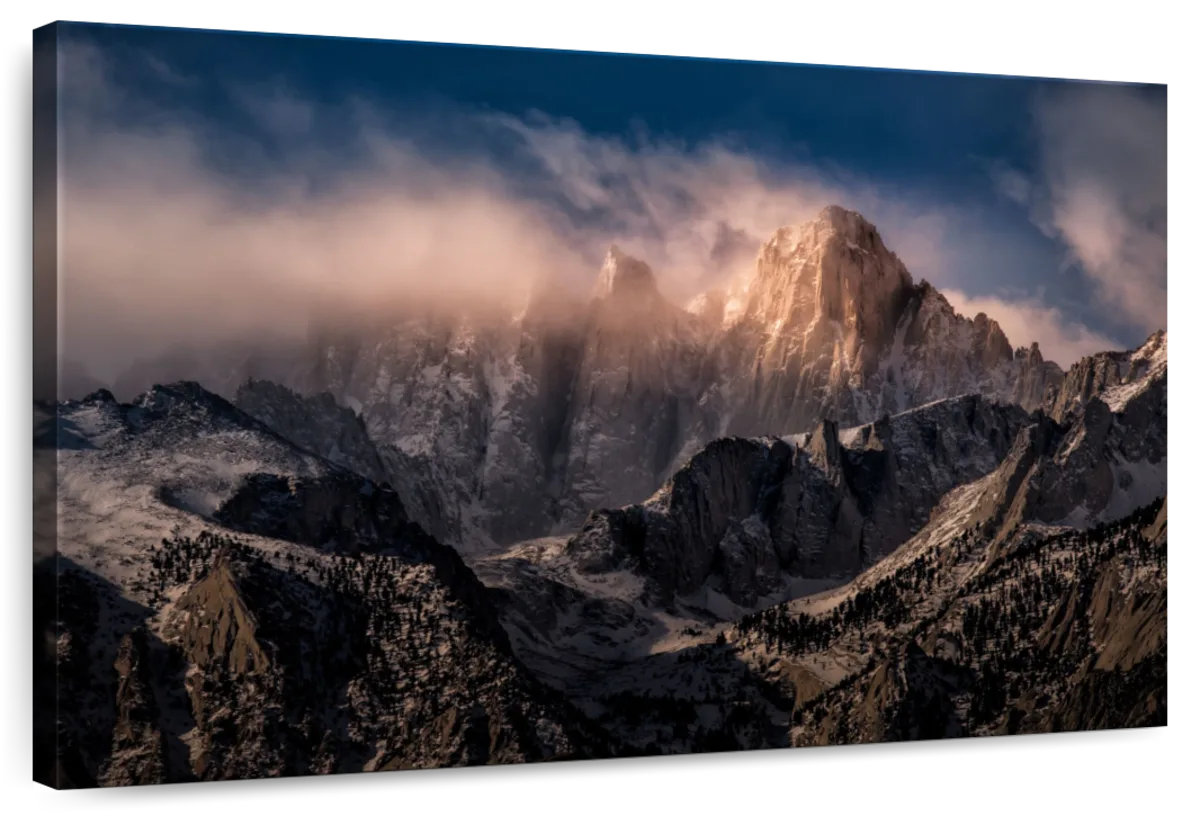 Elephant Stock Mt. Whitney Winter Sanctuary | Wayfair
