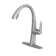 Vetta Pull Down Kitchen Faucet | Wayfair