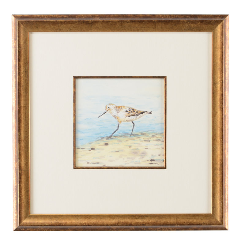 Chelsea House 'Sand Piper V' Framed Watercolor Painting Print | Wayfair