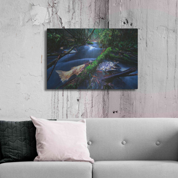 Millwood Pines Luxe Metal Art 'Salmon Trapped' By Thomas Haney, M ...