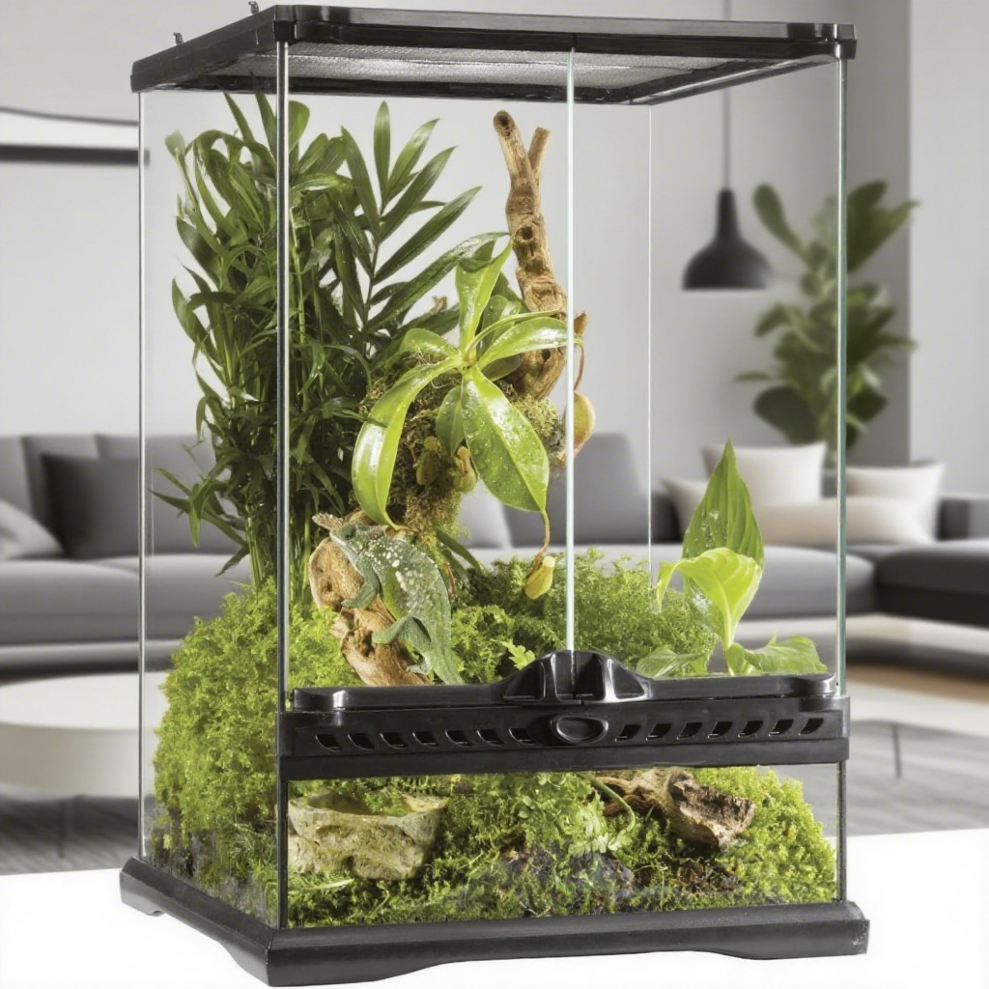 CHAIREZ Glass Terrarium For Reptiles & Amphibians - 12X12x18 Inch ...