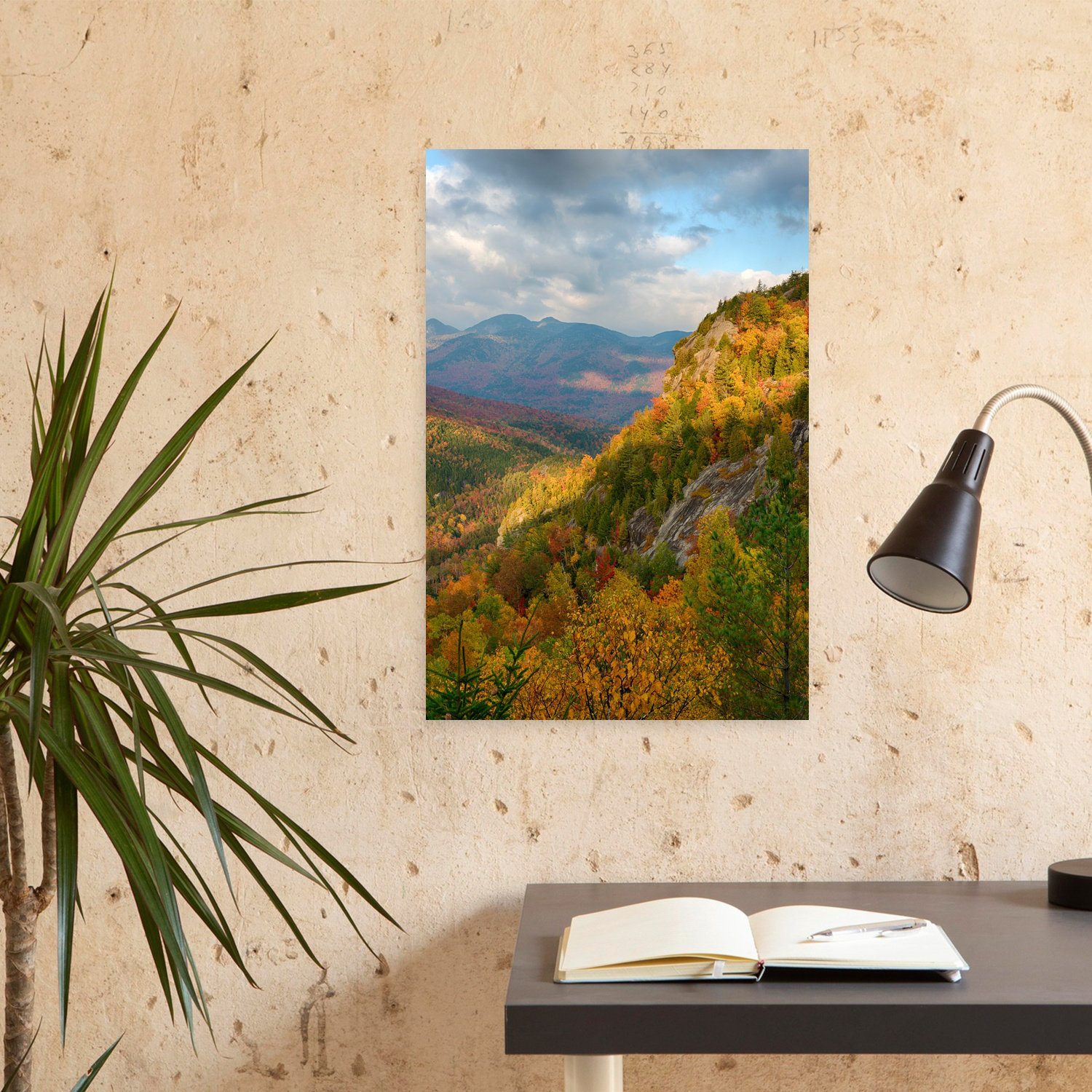 Union Rustic Scenic View Of Trees On Mountain Great Range Giant ...