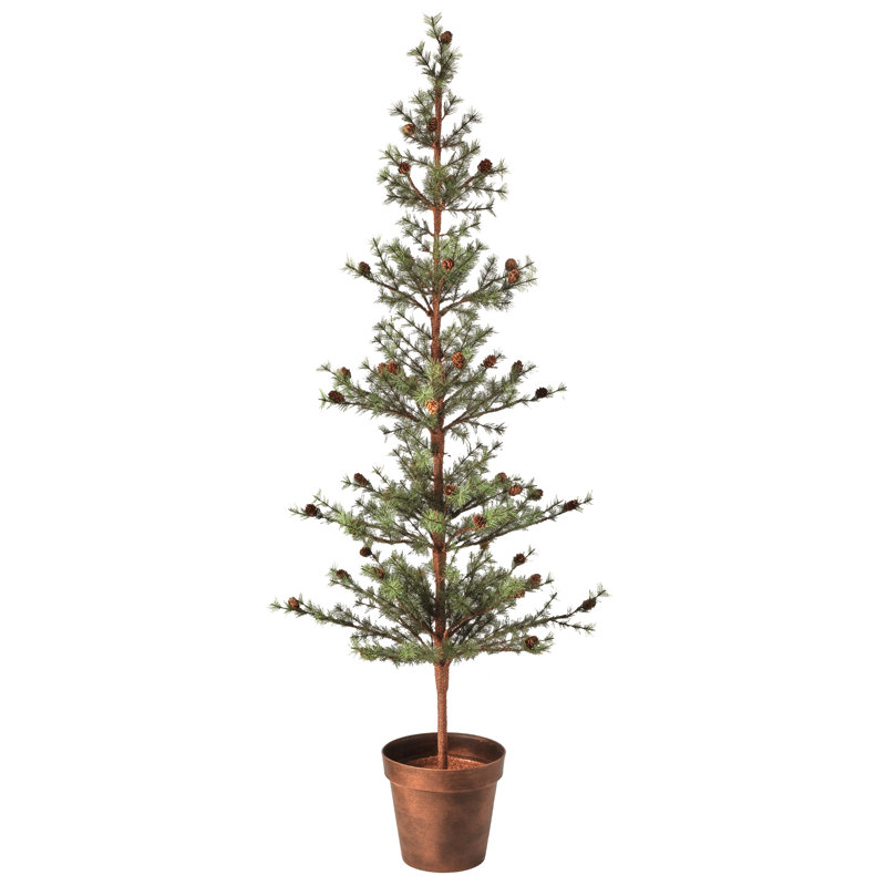 Regency International 60" Potted Skip Pine Tree Wiith Cone | Wayfair