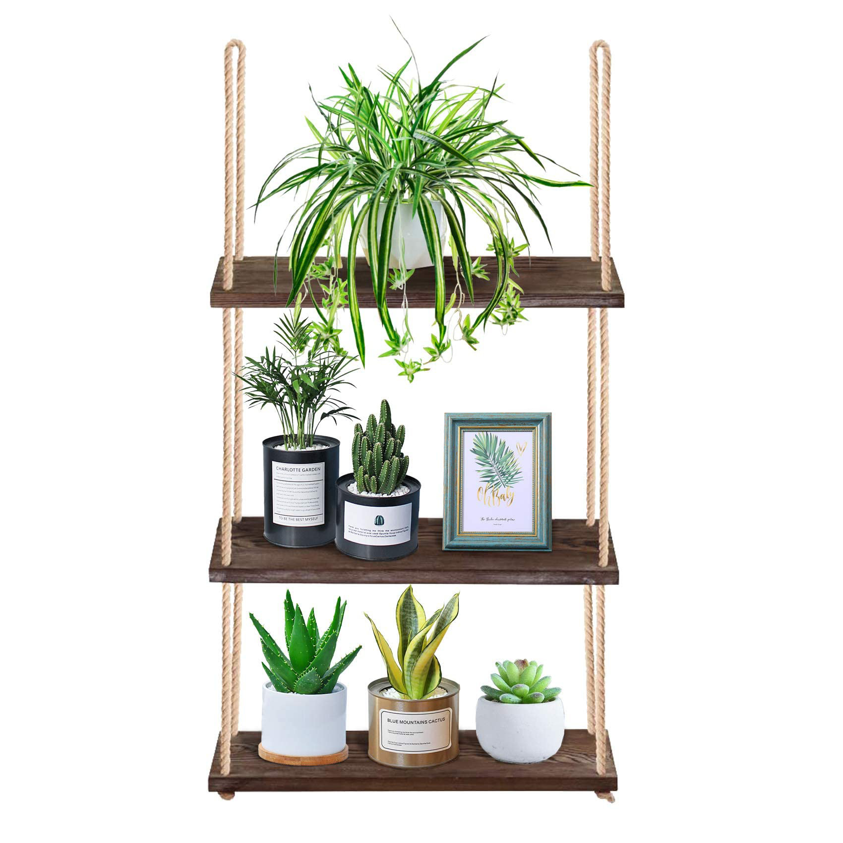 Longshore Tides Hanging Shelf - 3-Tier Boho Wall Shelf For Plants ...