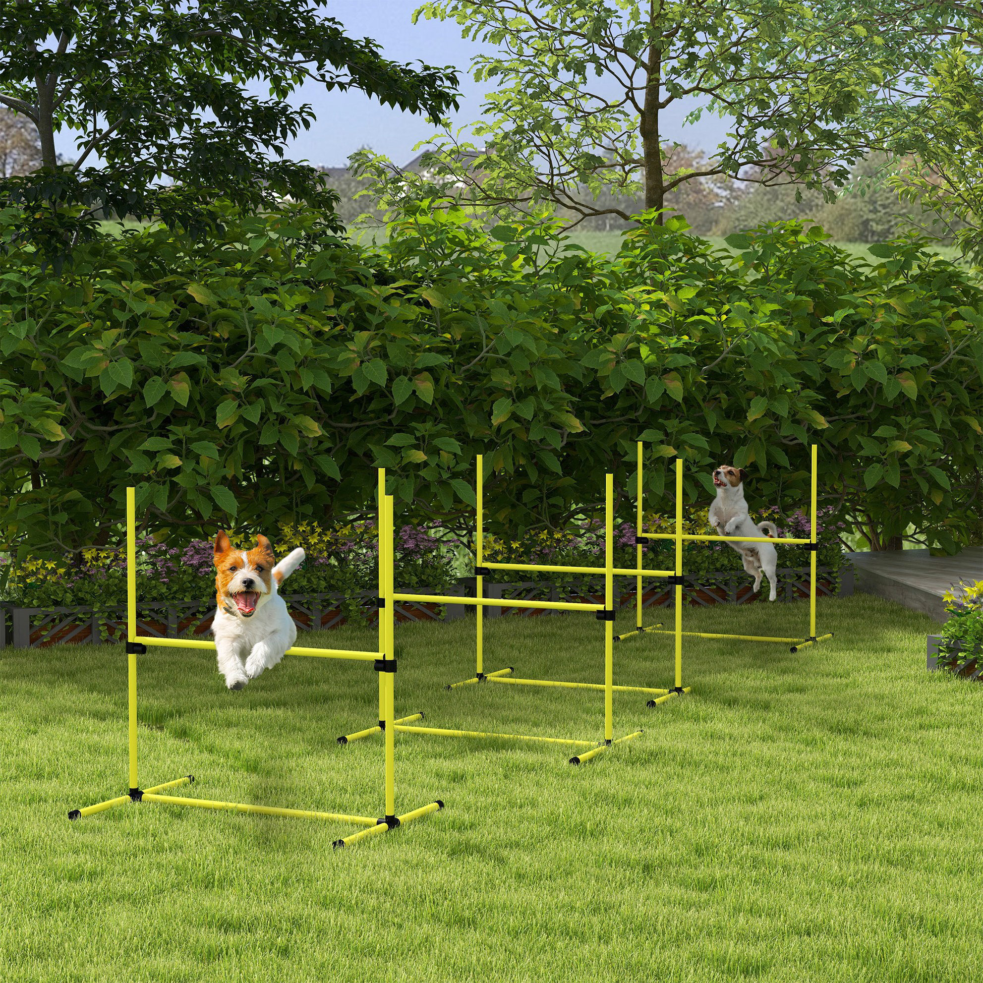 Tucker Murphy Pet™ Dog Agility Training Supplies With 4 Adjustable Jump ...