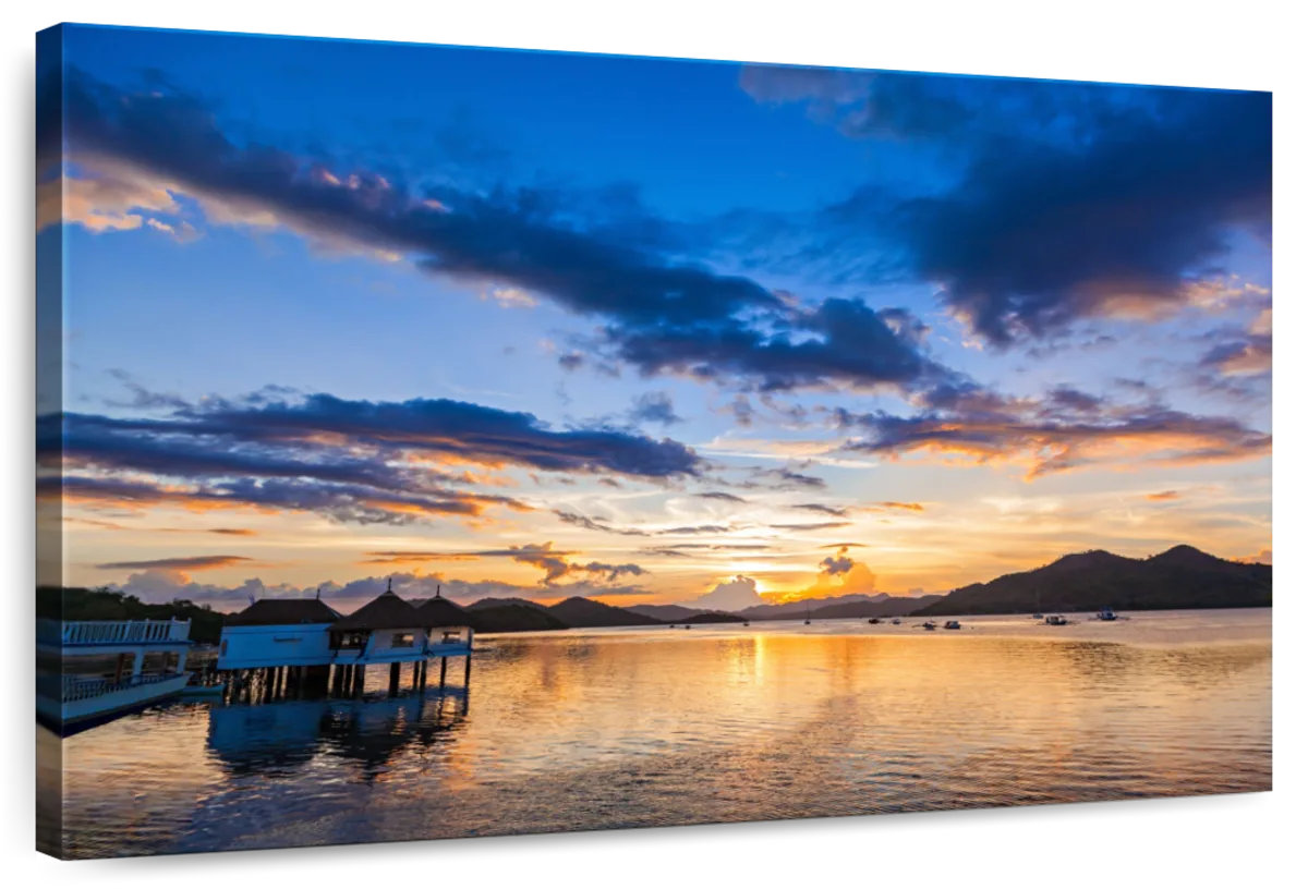 Elephant Stock Coron Beach Sunset | Wayfair