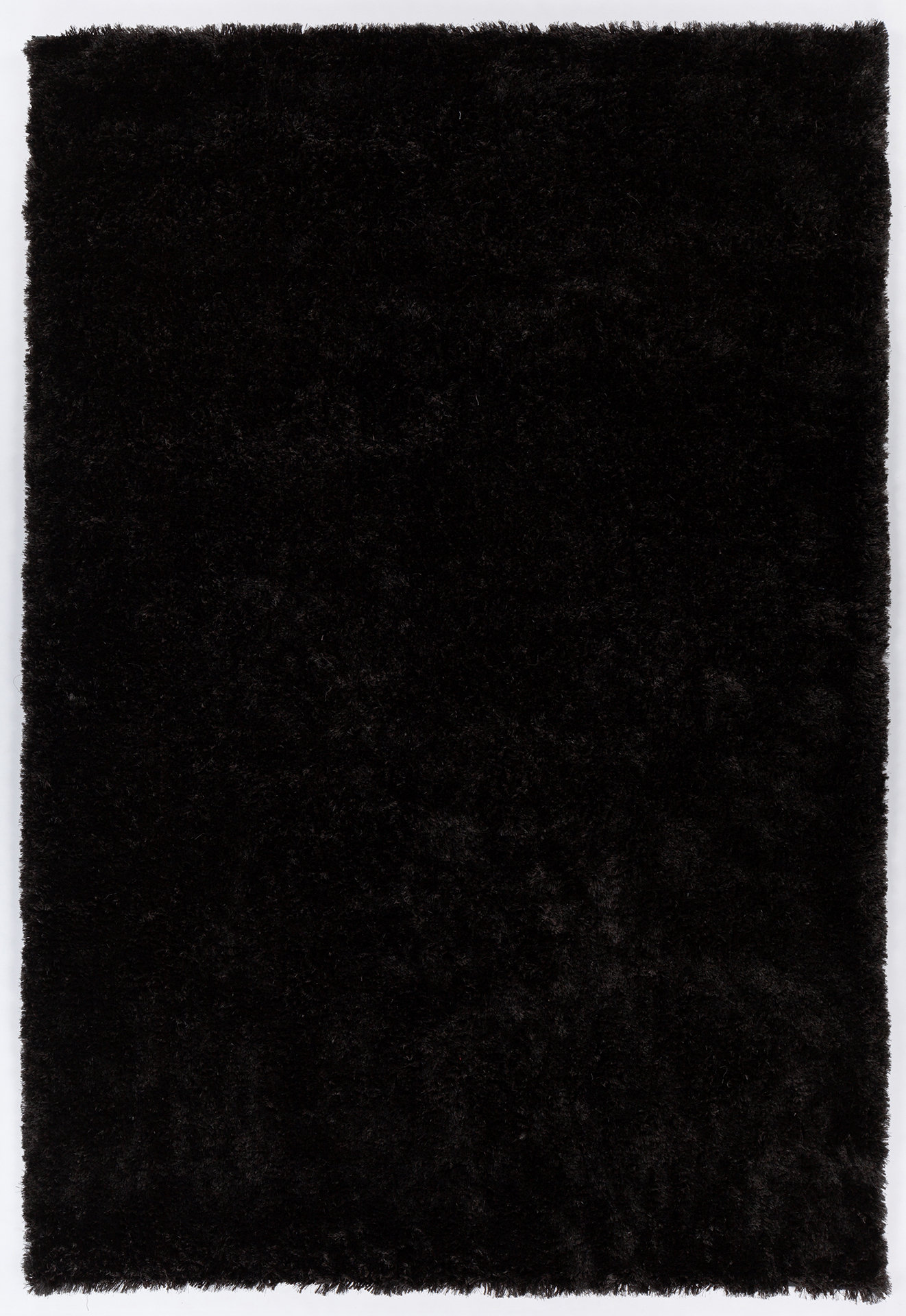 Ivy Bronx Schreiner Handmade Shag Black Area Rug | Wayfair