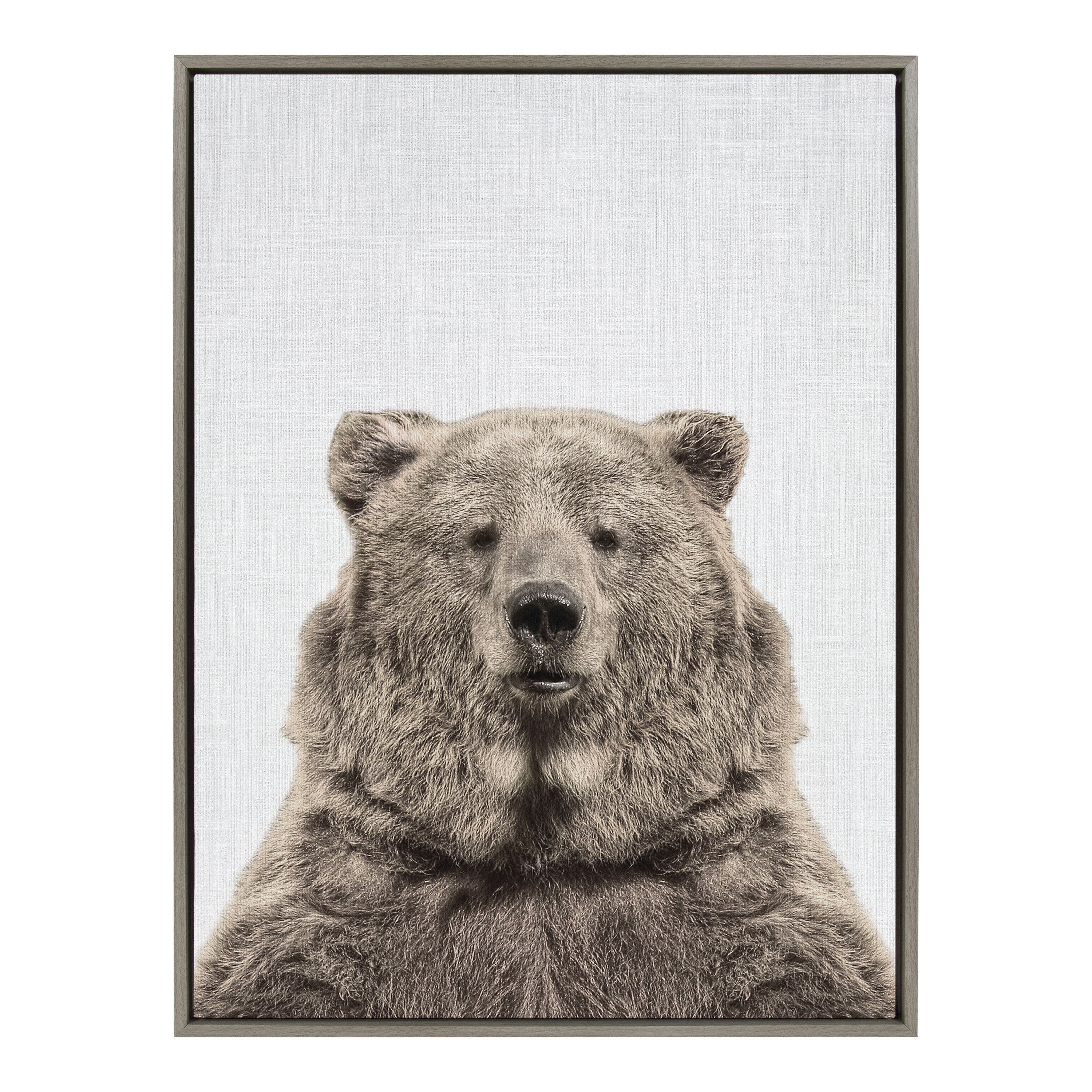 Ebern Designs Bear European Color by Simon Te of Tai Prints Framed ...