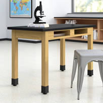 Shain 37.5'' W Rectangle Laminate Science Table | Wayfair