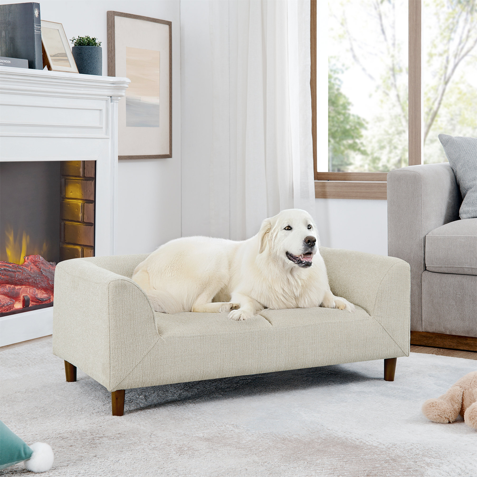 Ebern Designs Pet Sofa With Backrest And Armrests, Modern Rectangular Pet Sofa Suitable For ...