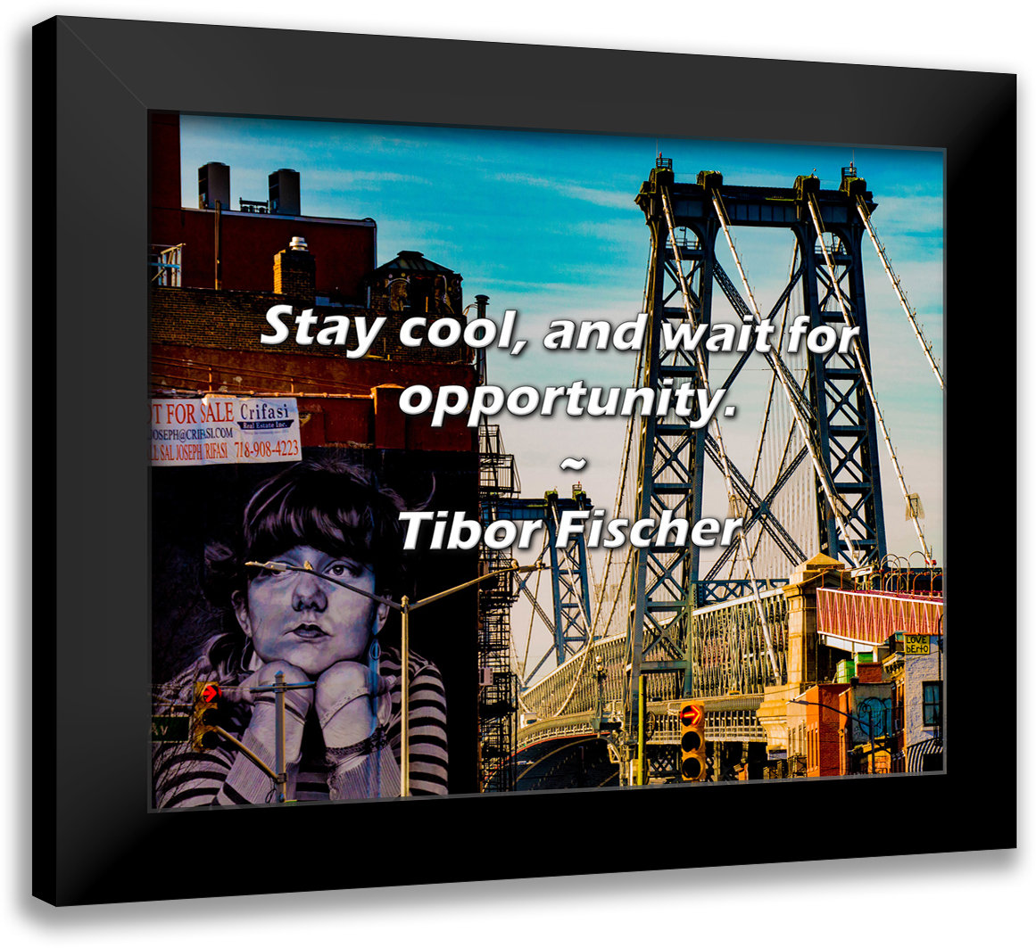 Trinx Tibor Fischer Quote: Stay cool, and wait for opportunity. | Wayfair