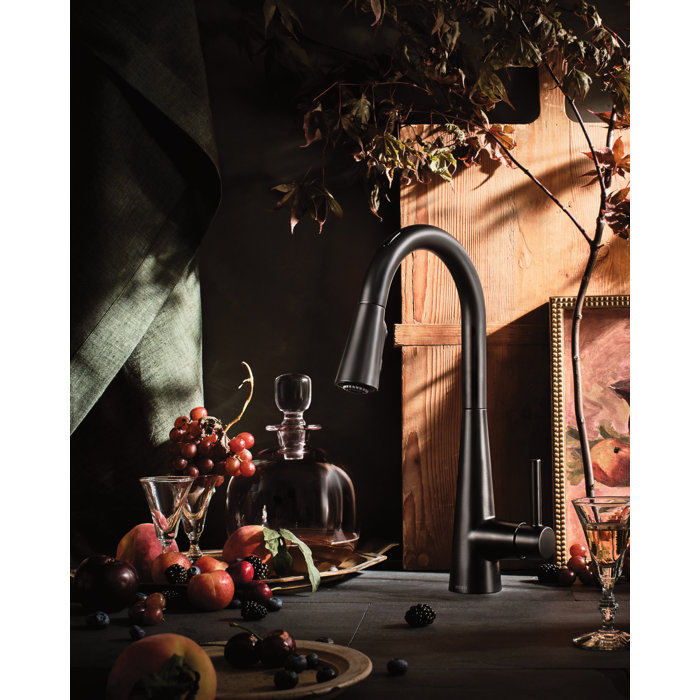 Moen Sleek Kitchen Faucet 7864Srs at Robert Lindsay blog