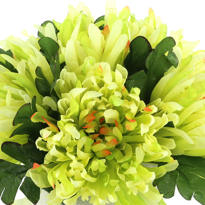 Primrue Spider Mum Arrangement in Ceramic Pot | Wayfair