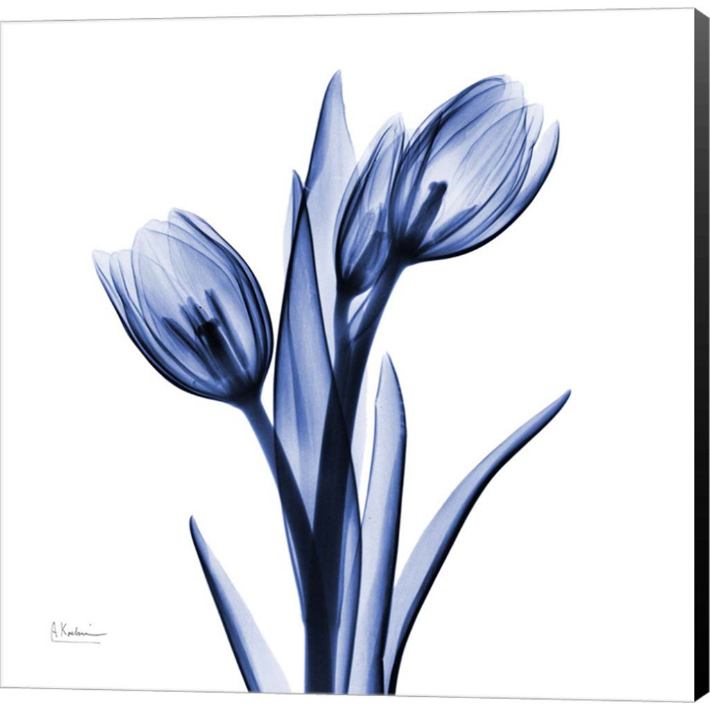 Winston Porter Enchanted Indigo Tulips by Albert Koetsier - Wrapped ...