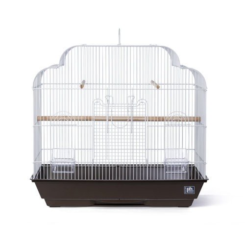 Tucker Murphy Pet™ Cinamon 24'' Steel Victorian Top Table Top Bird Cage ...