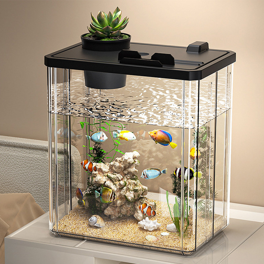 Ebern Designs Fish Tank Aquarium Starter Kit, Mini Desktop Rectangular ...