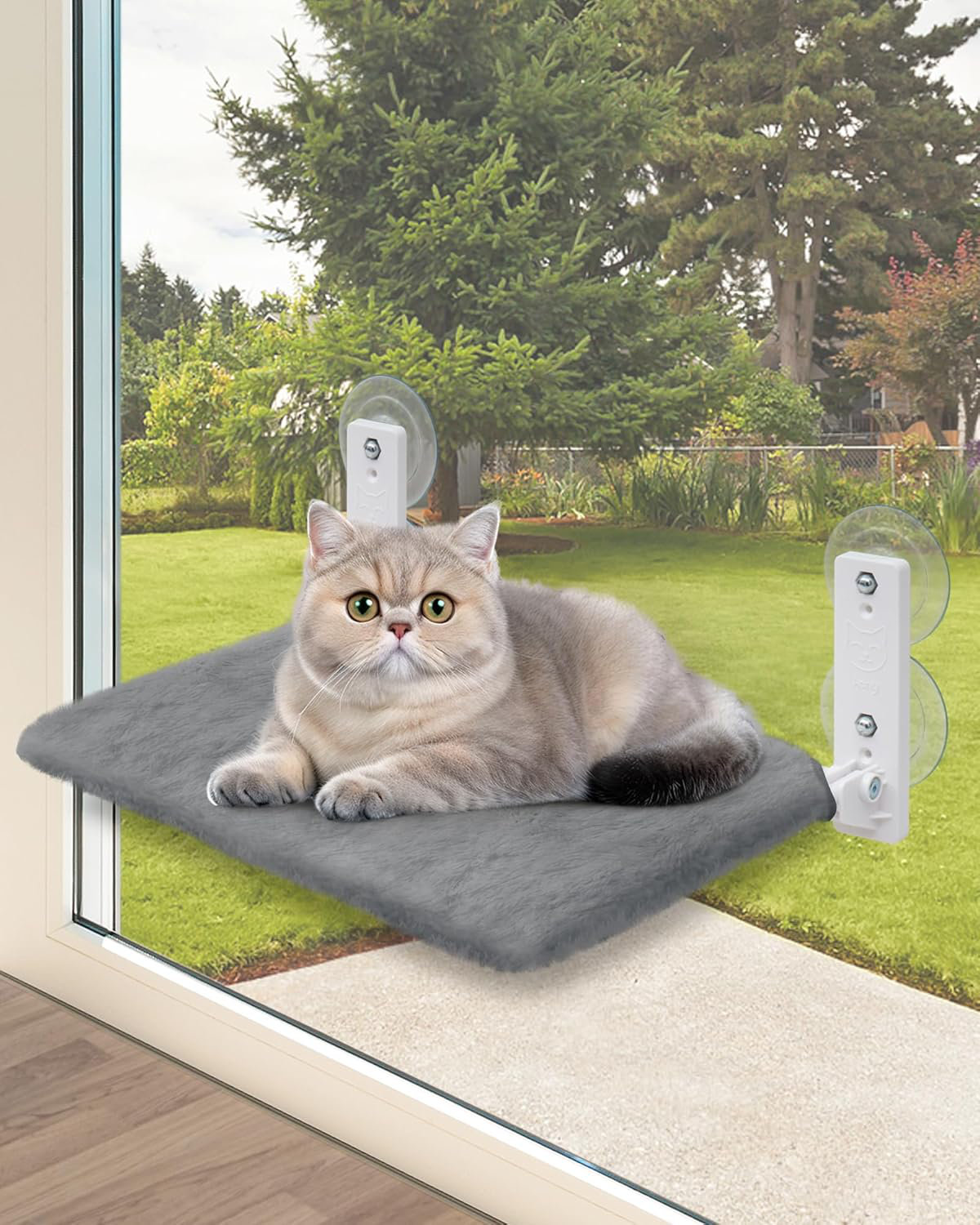 Tucker Murphy Pet™ Foldable Cat Window Perch With 4 Larger Suction Cups ...