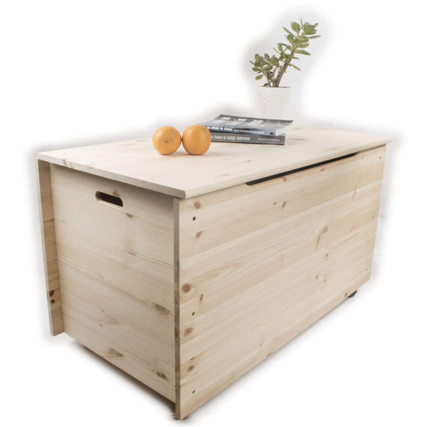 Union Rustic Christchurch Camp Trunk / Footlocker | Wayfair.co.uk