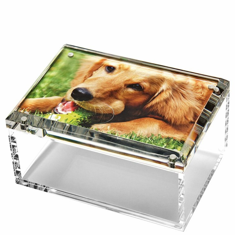 Tara Wilson Designs Acrylic Box with Photo Lid | Perigold